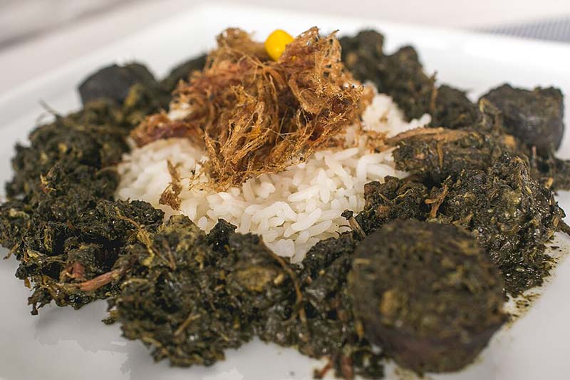 Comidas típicas do Norte: 12 pratos da região para experimentar