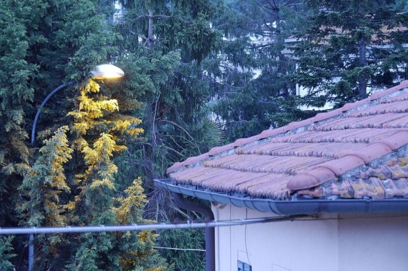 15 lugares para conhecer em SC no inverno brasileiro!