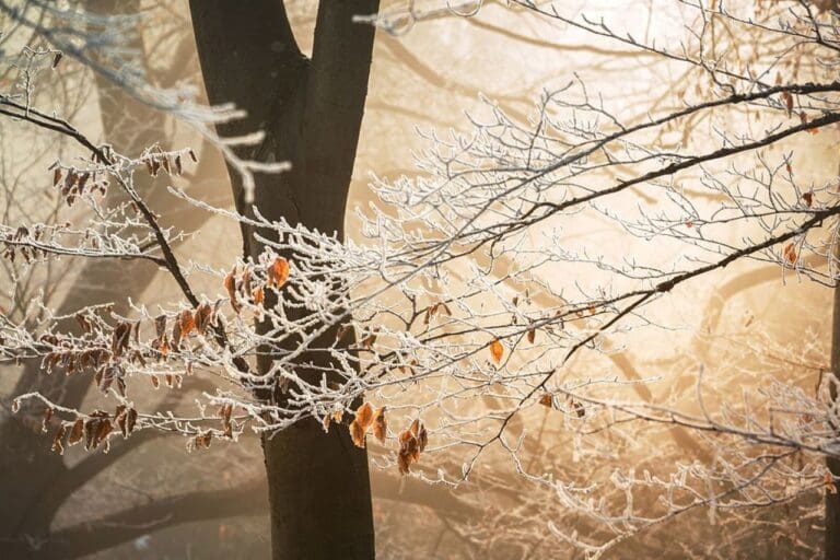 15 lugares para conhecer em SC no inverno brasileiro!